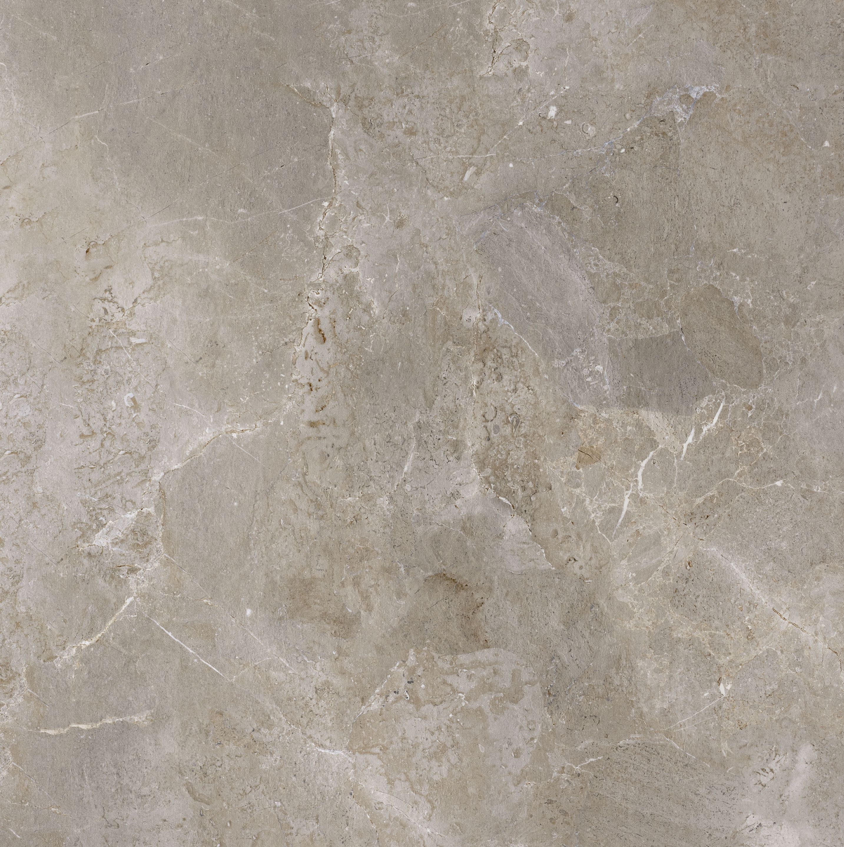 Royal Stone Palladium Grey | Palladium Grey | 6 mm | 100x100 ...